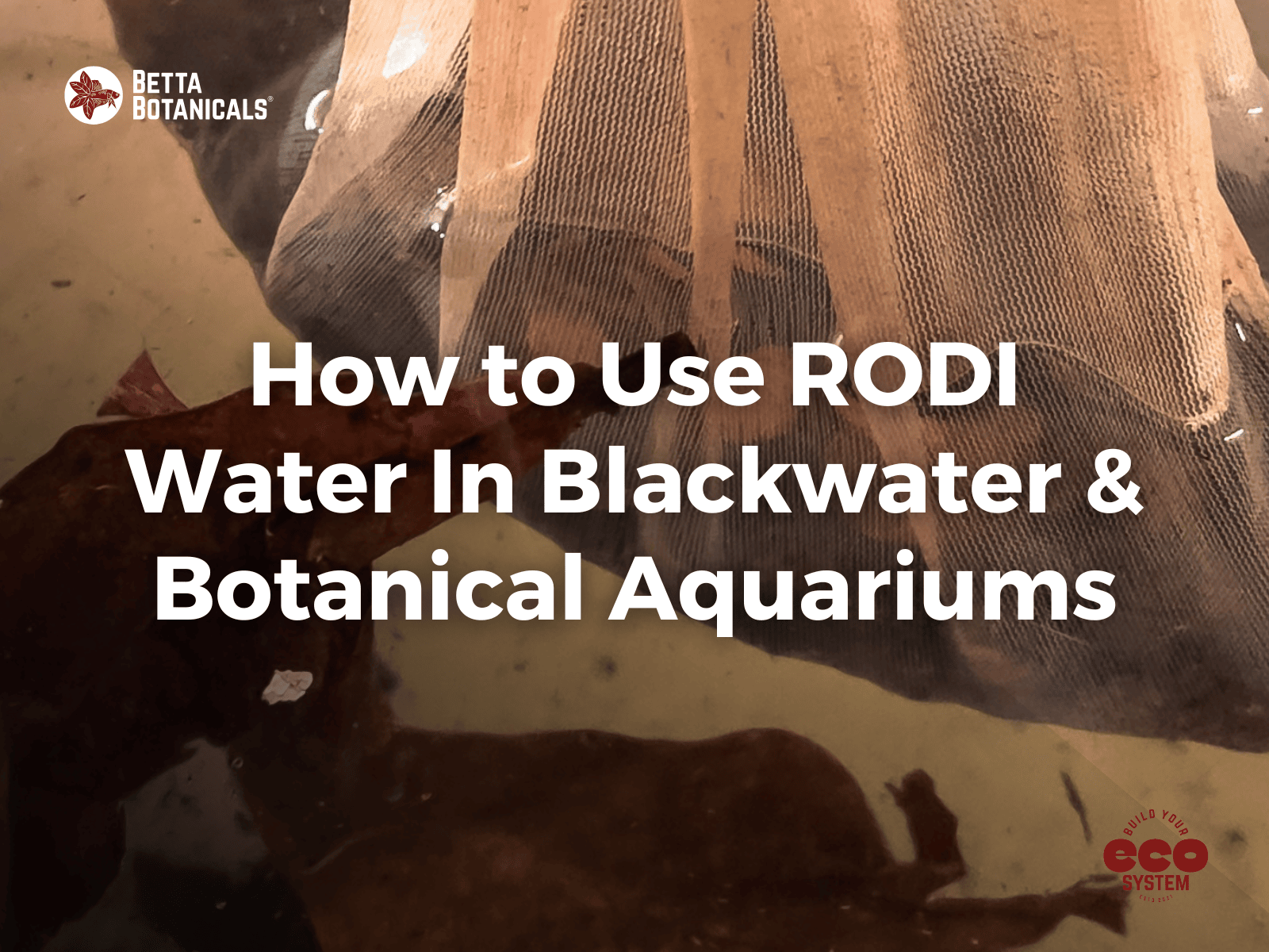 More Than you Need to Know: RO Water in Aquariums | Betta Botanicals ...