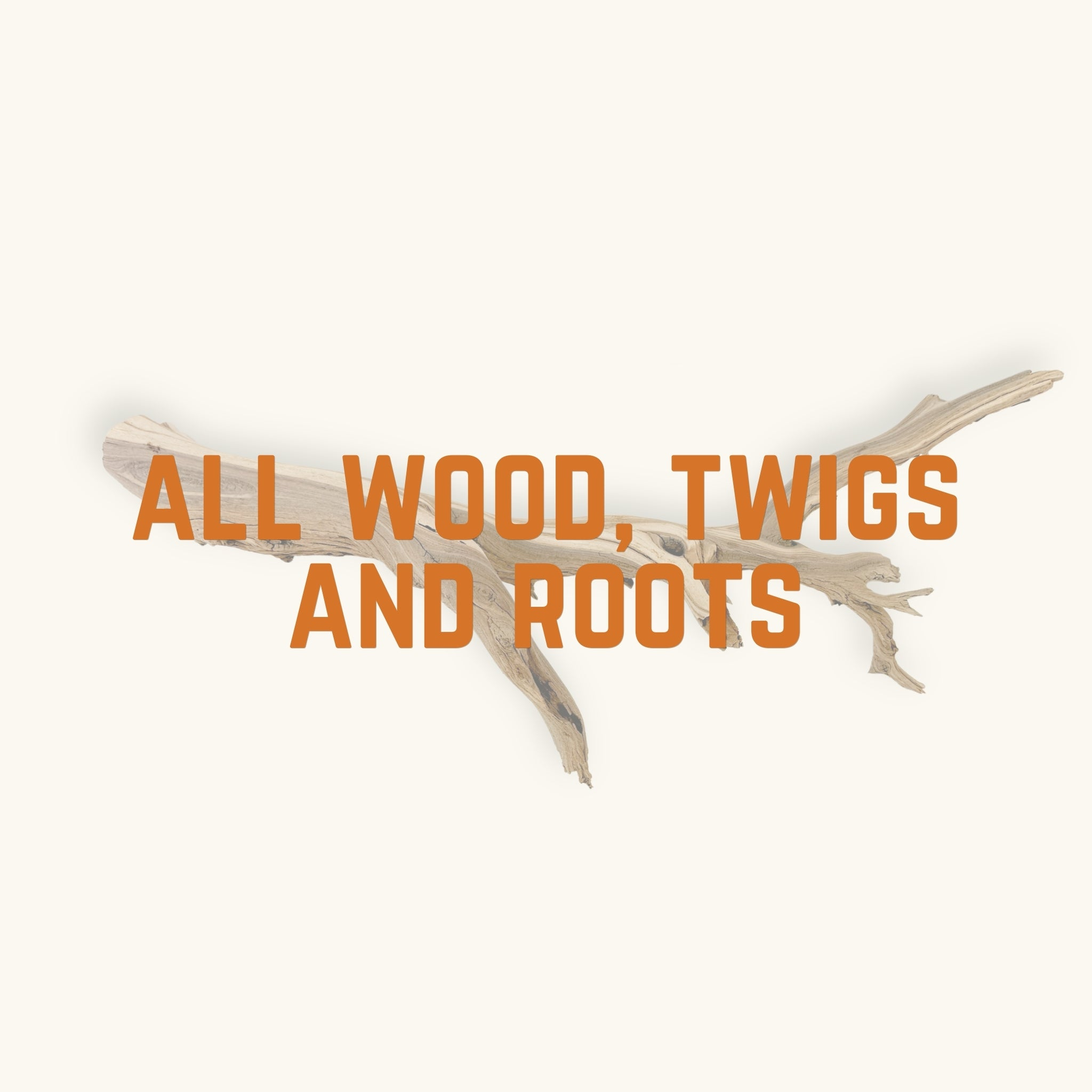 Wood, Twigs & Roots for Vivariums and Aquariums | Betta Botanicals ...