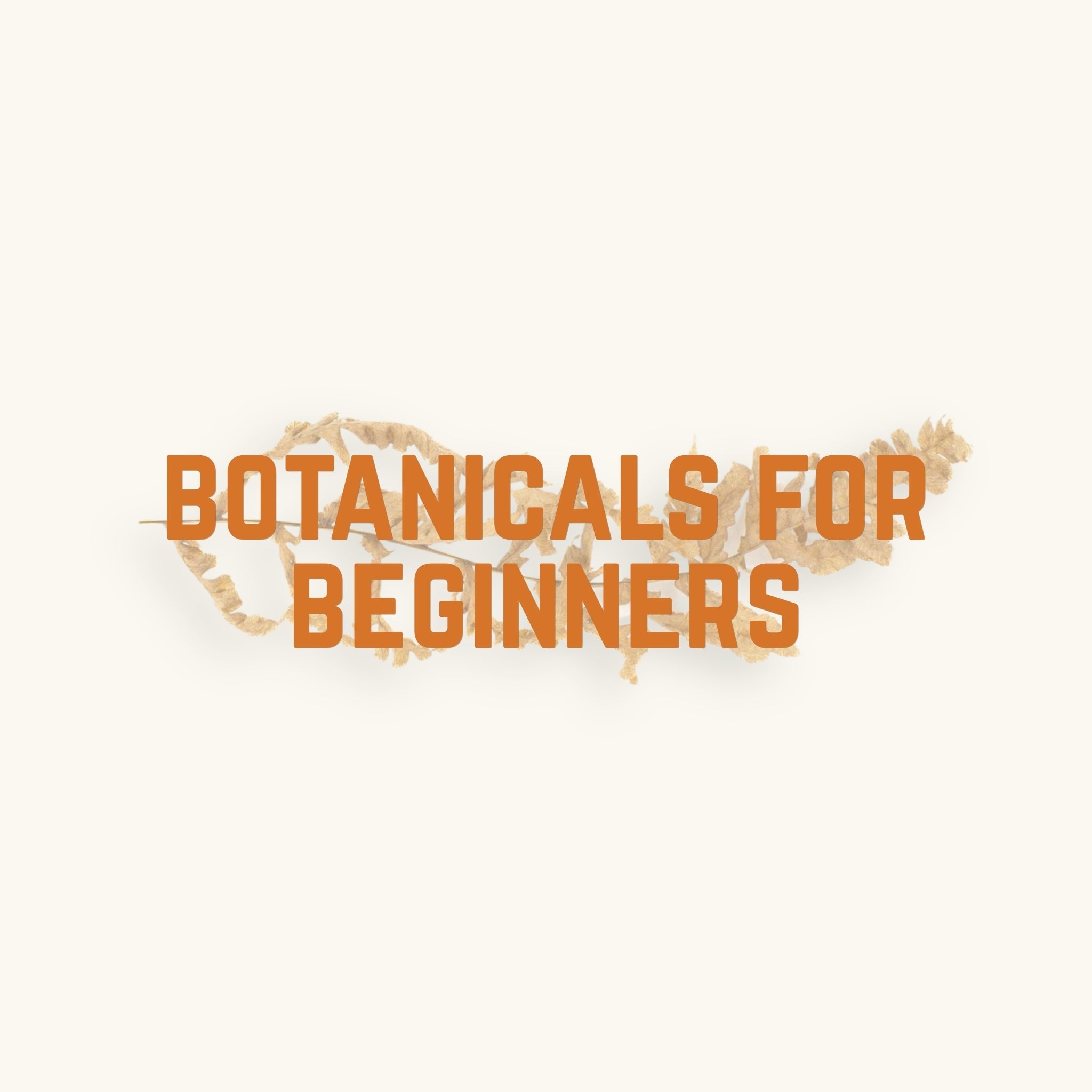 Aquarium Botanicals for Beginners | Betta Botanicals – Betta Botanicals ...