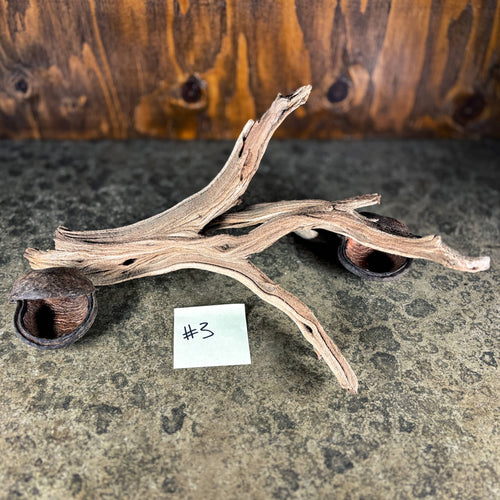 Manzanita Wood for Aquariums | Betta Botanicals – Betta Botanicals ...