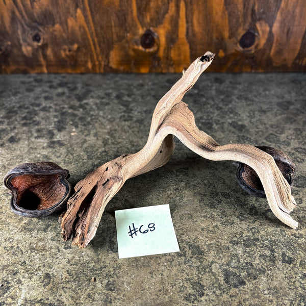 Manzanita Wood for Aquariums | Betta Botanicals – Betta Botanicals ...
