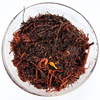 Floating Plants for Fish | Betta Botanicals – Betta Botanicals ...