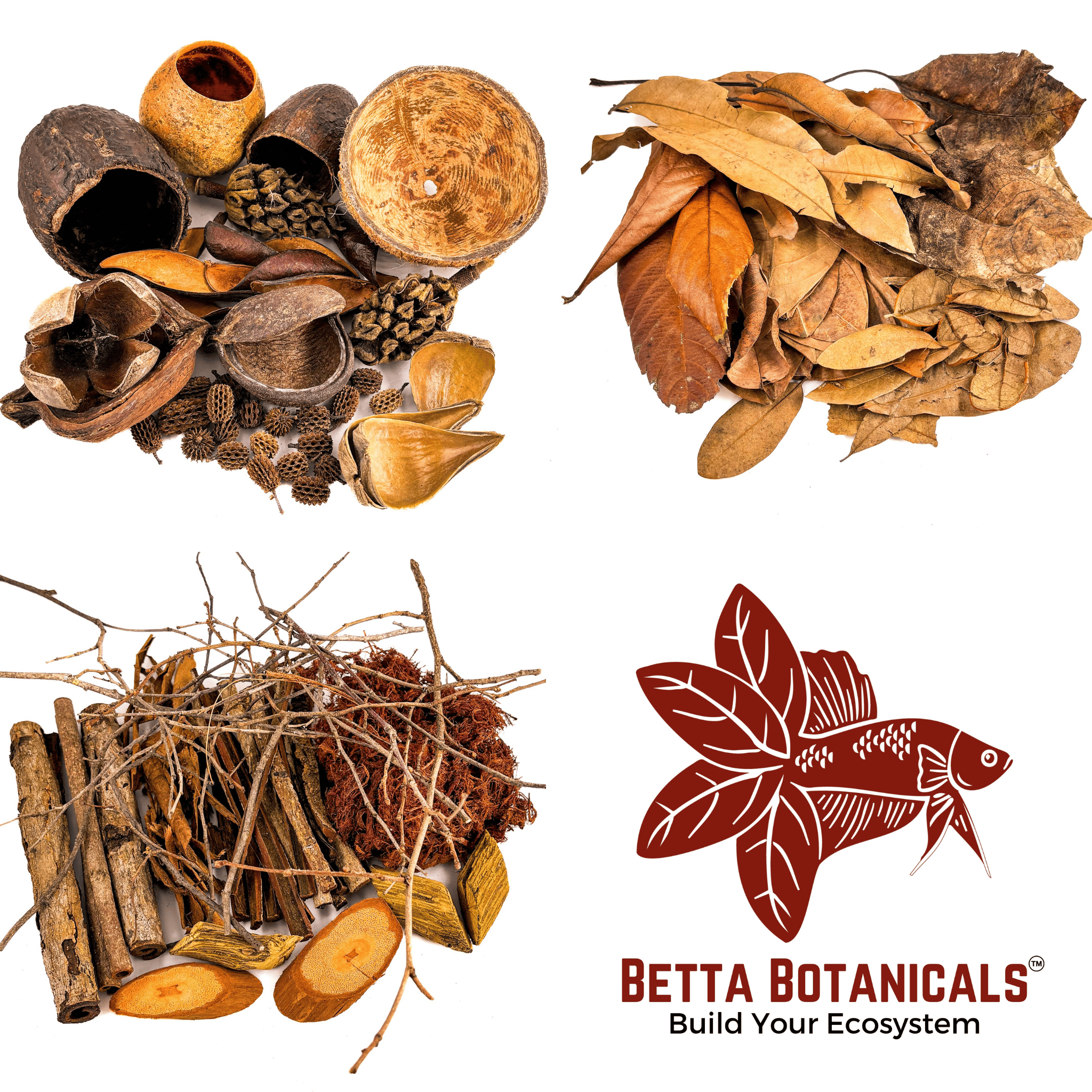 Biome Builder Packs - Fuel Your Ecosystem | Betta Botanicals – Betta ...