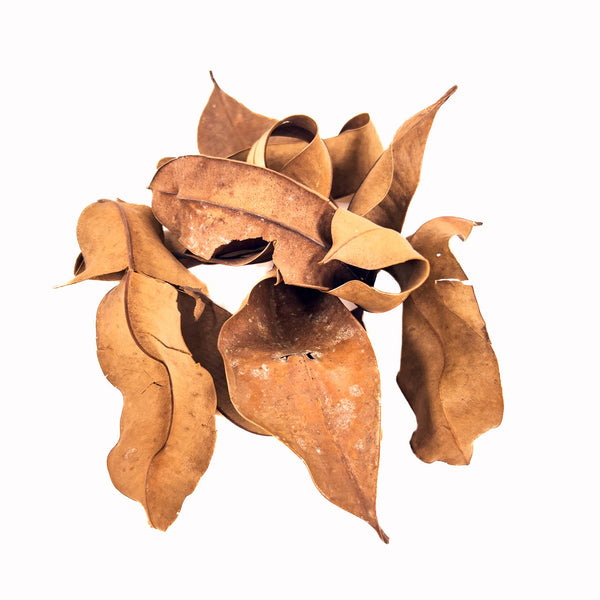 Peruvian Blackwater Botanicals - South America