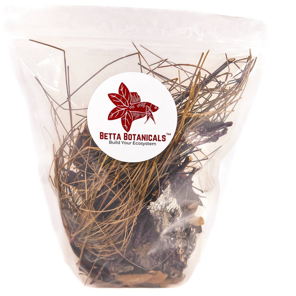 Floating Plants for Fish | Betta Botanicals – Betta Botanicals ...