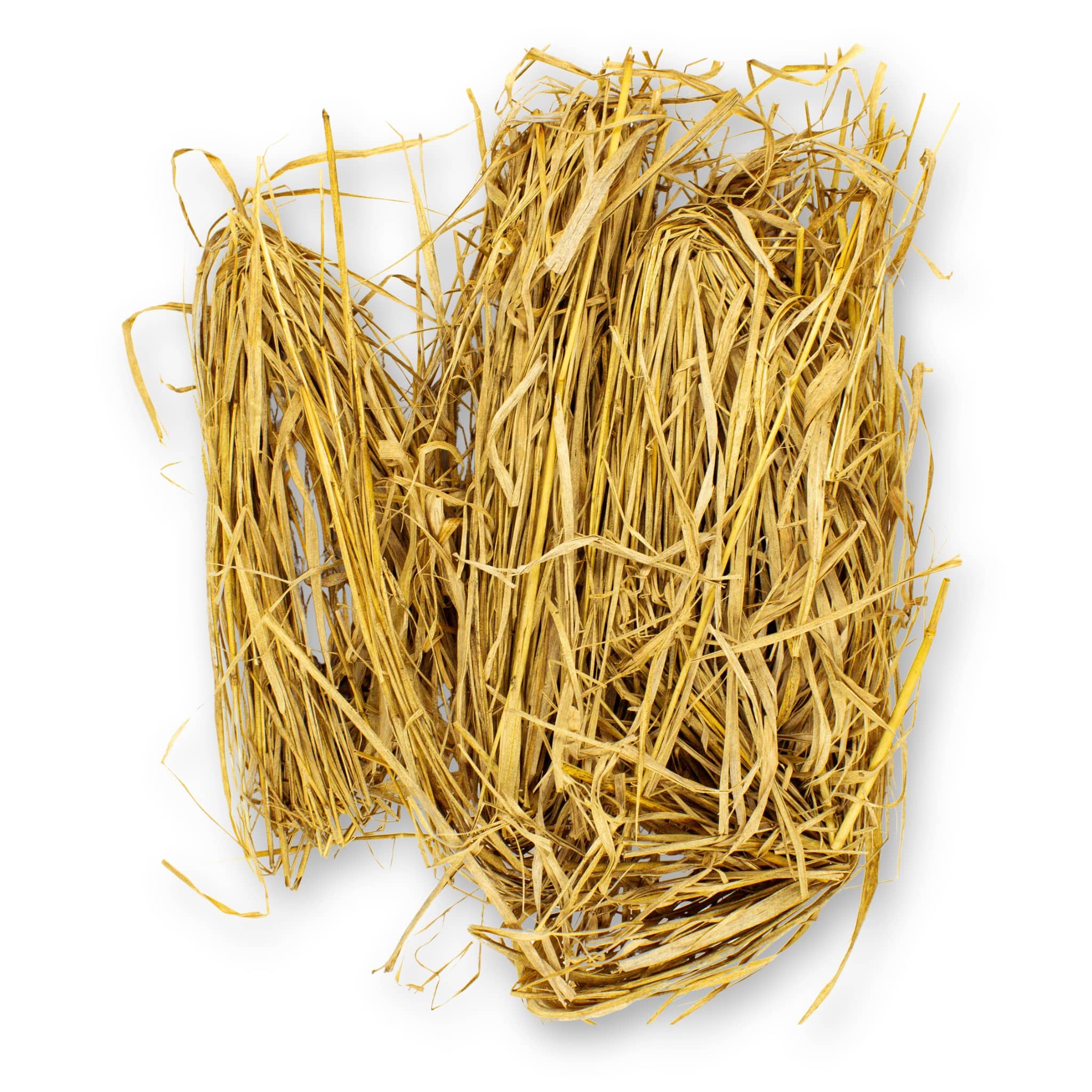 Wetland Swamp Grass for Blackwater Aquariums and Vivariums – Betta ...