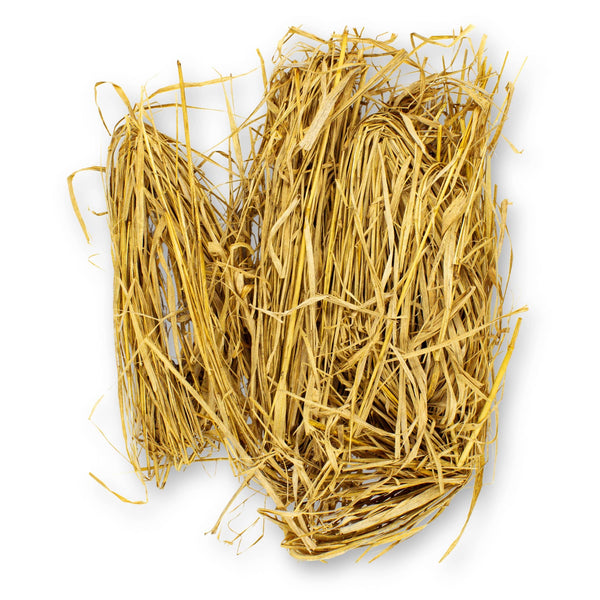 Understanding Biotope Aquariums: Natural Habitat Replication – Betta ...