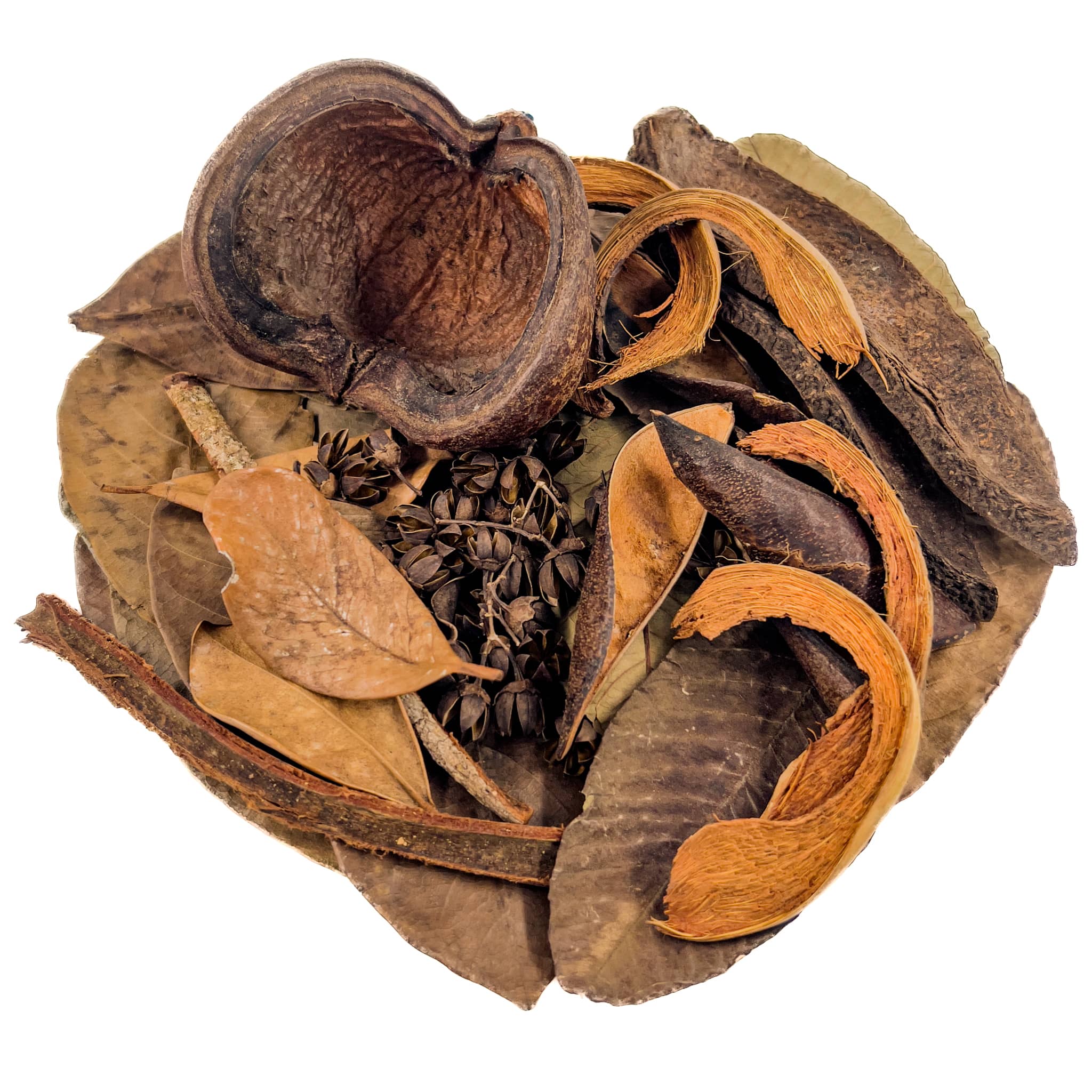 Betta Botanicals® Variety Pack for Aquariums | Betta Botanicals – Betta ...
