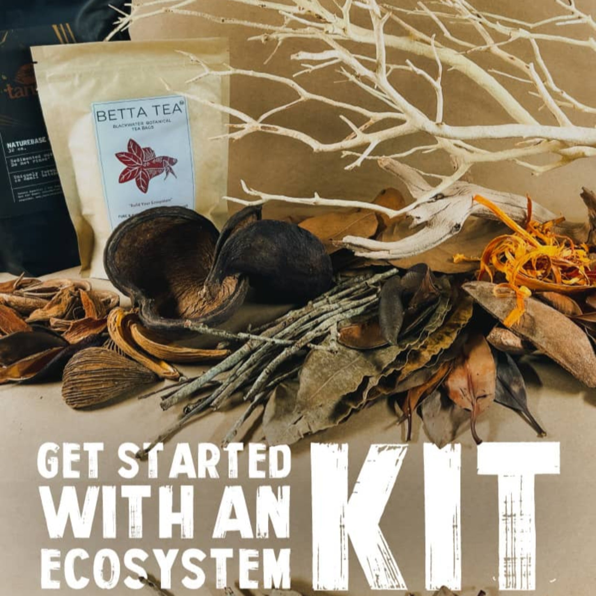 20 Gallon Ecosystem Kit | Betta Botanicals – Betta Botanicals | Natural ...