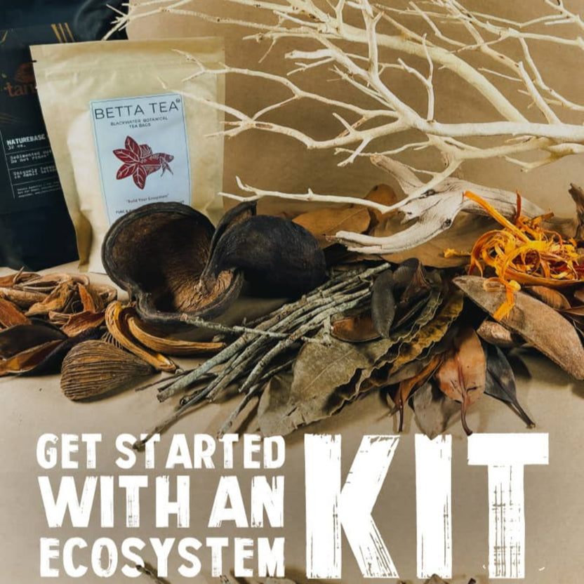 20 Gallon Ecosystem Kit | Betta Botanicals – Betta Botanicals | Natural ...