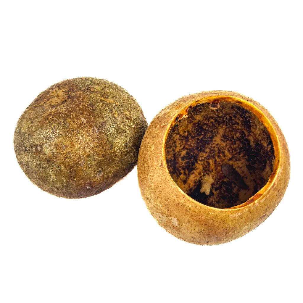 South American Bael Tree Pods | Betta Botanicals – Betta Botanicals ...